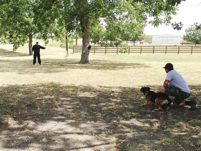 K-9 Nutrition: An Interview and Bite Work Demo with Mike Ritland and ...