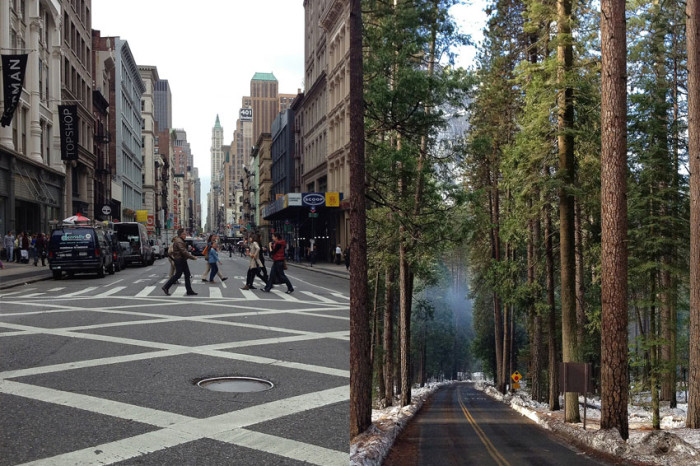 Living Better: Tips for Balancing Your Digital Life - ITS Tactical