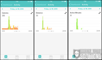 Fitbit Flex Review: Tracking Your Activity for a Comprehensive Fitness ...