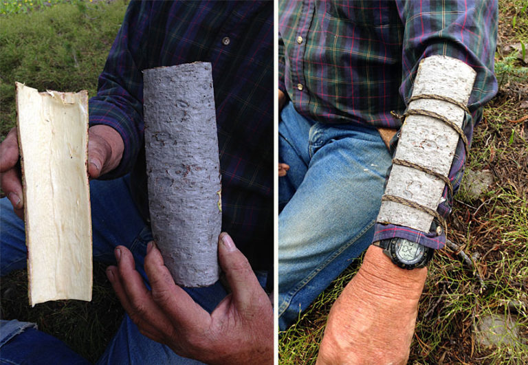 Survival Techniques: Tips and Tricks to Constantly Improve Your ...