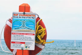 Don't Get Ripped Off: Learn to Identify Rip Currents and Be Safe in the ...