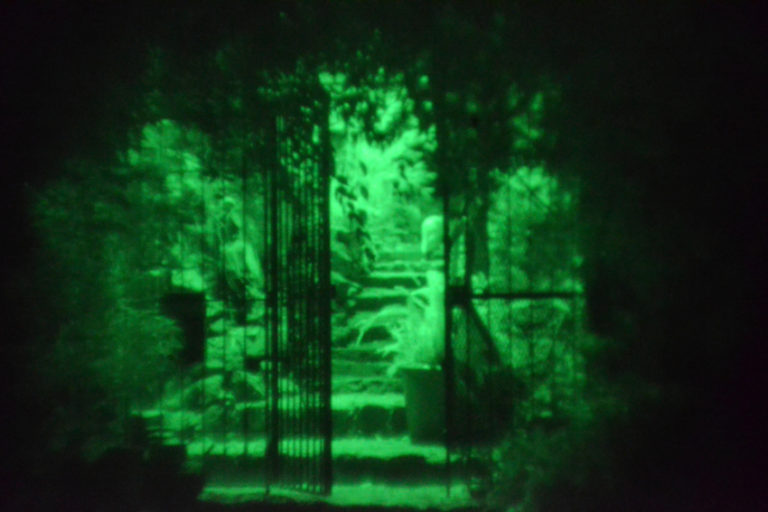 Don't Be Afraid of the Dark: A Comprehensive Intro to Night Vision ...