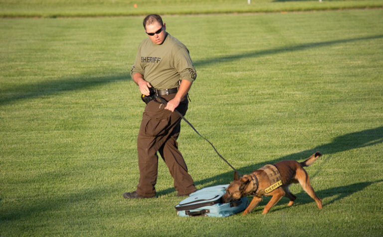 Upping the Bar: Holding K9 Training to a Higher Standard - ITS Tactical