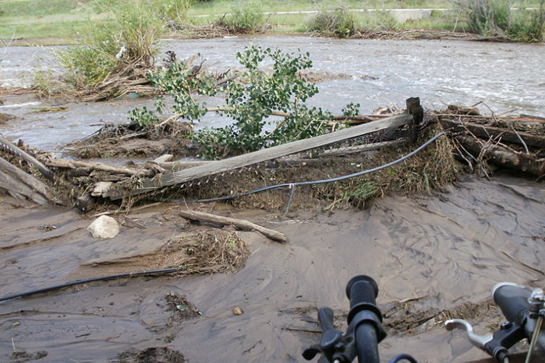 Real Life Survival: One Family's Experience with Disaster when the ...