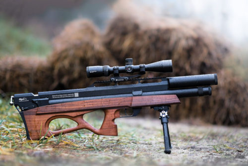 The Powerful Punch of the Edgun Matador R5 Airgun - ITS Tactical